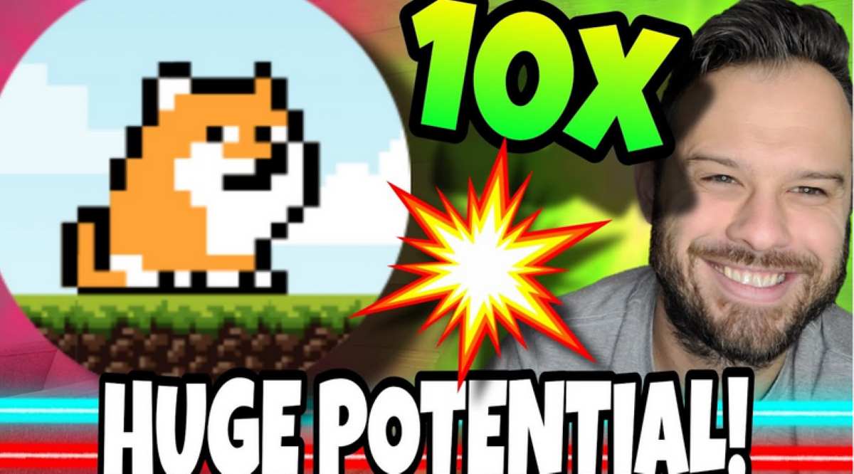 Play Doge está cerca de los 6 millones de dólares en preventa