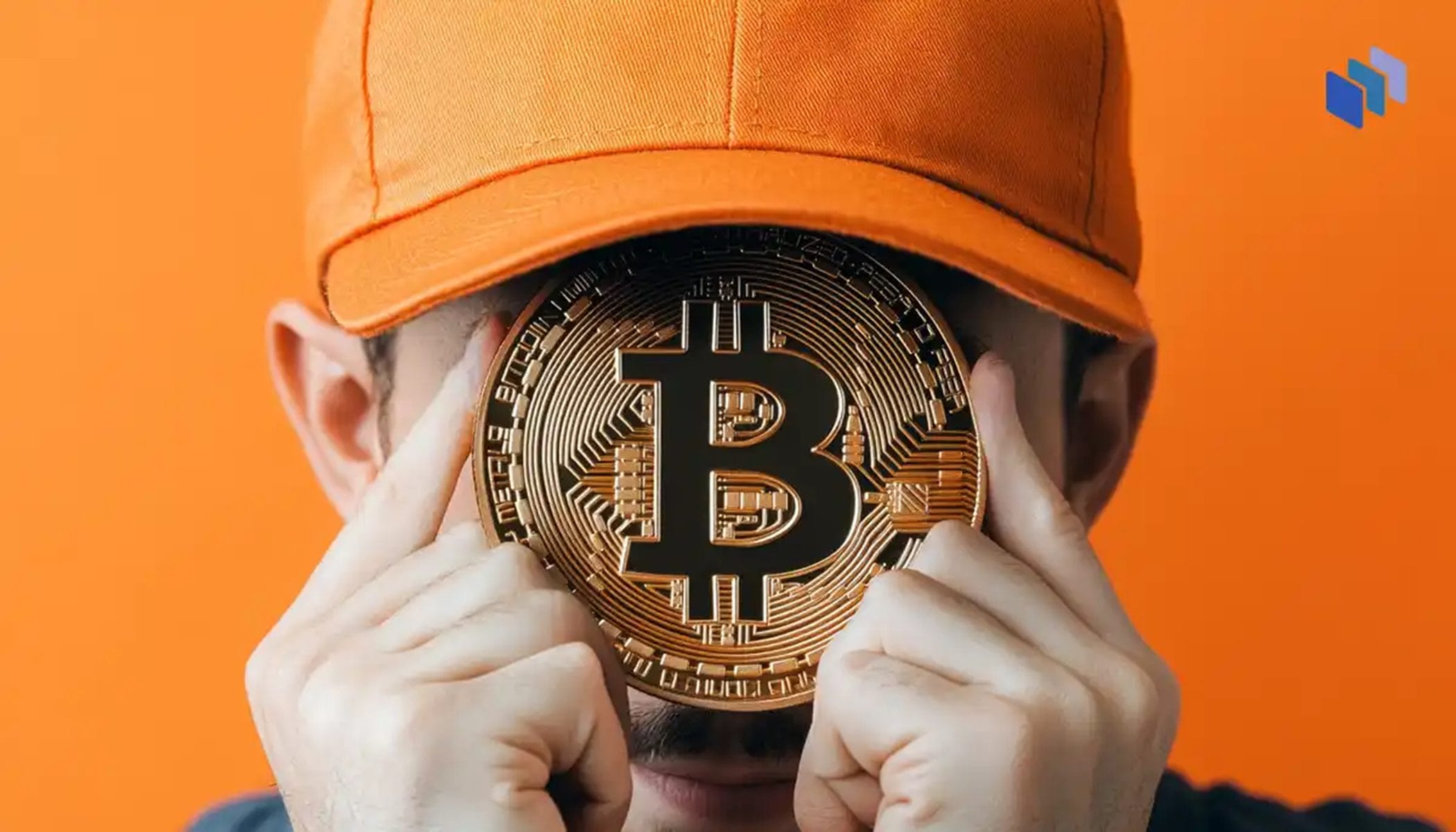 Peter Todd desaparece após documentário da HBO sobre Bitcoin - CryptoNews Brasil