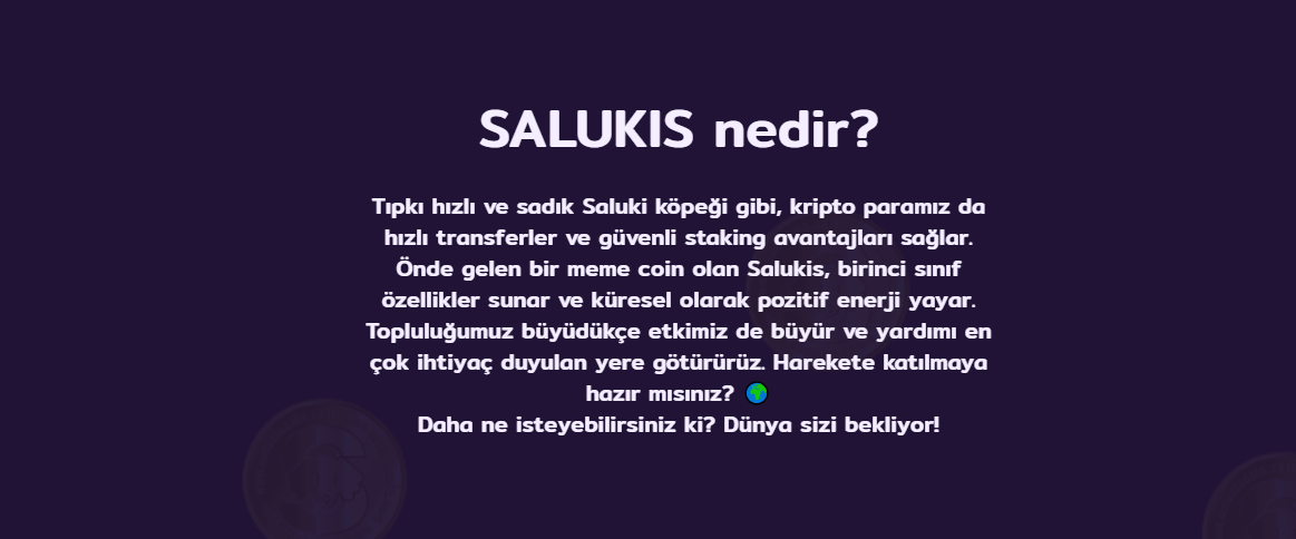 Salukis Nasıl Alınır – Detaylı ve Kolay Rehber
