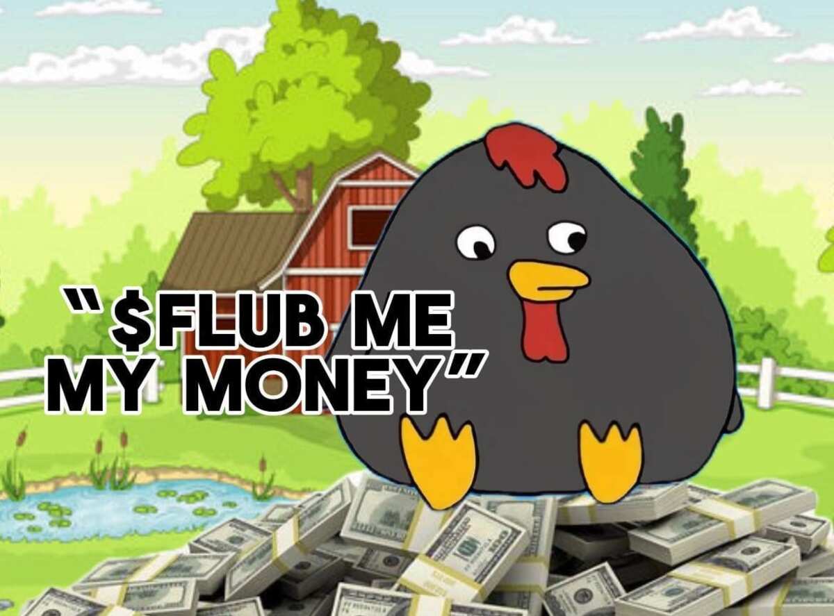 Bekende Crypto Expert: Deze Crypto Gaat Stijgen na FLUB Pump