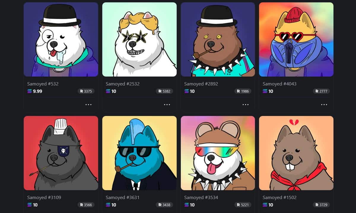 Samoyedcoin (SAMO) fa +125% entrando nella meme coin mania