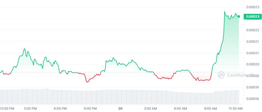 Memecoin che fanno arricchire: Wojak, Pepe, Copium, Chad