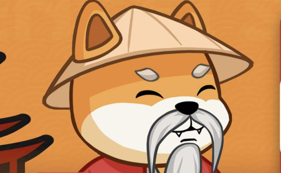 Come acquistare il token SINU dalla prevendita Sensei Inu